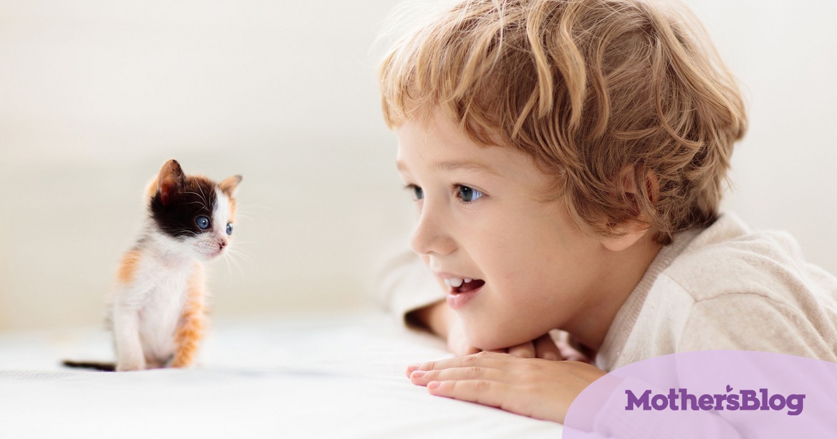 Tips για να μεγαλώσετε ένα γατάκι μαζί με τα παιδιά σας - Mothersblog.gr