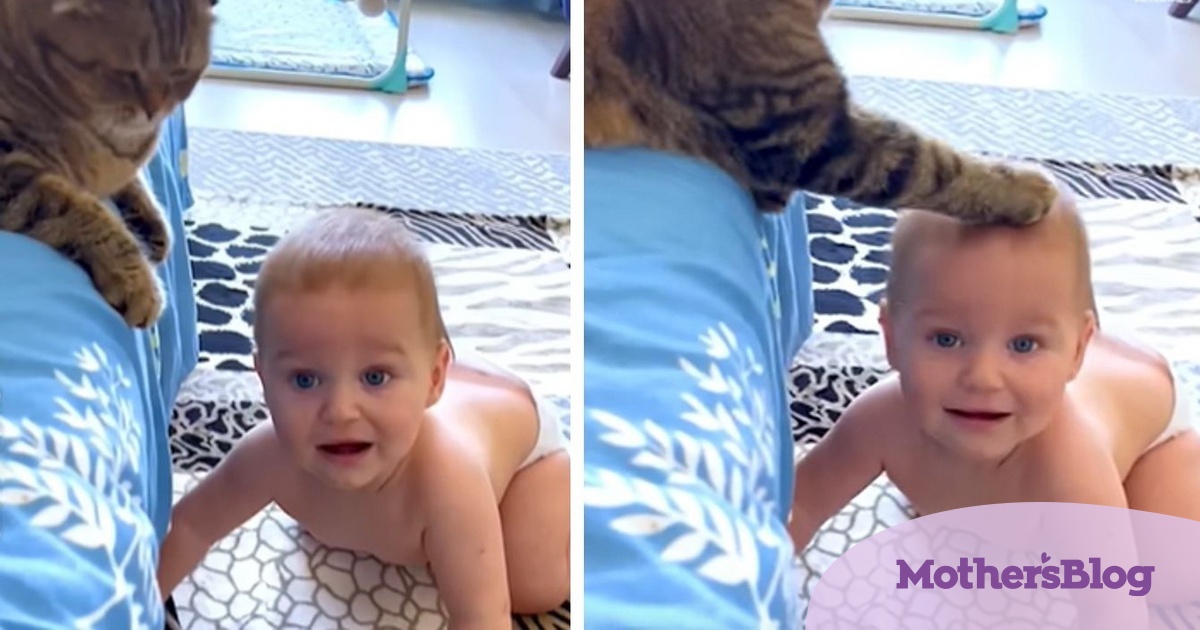 Γάτα ηρεμεί μωρό που γκρινιάζει με μία κίνηση - Mothersblog.gr