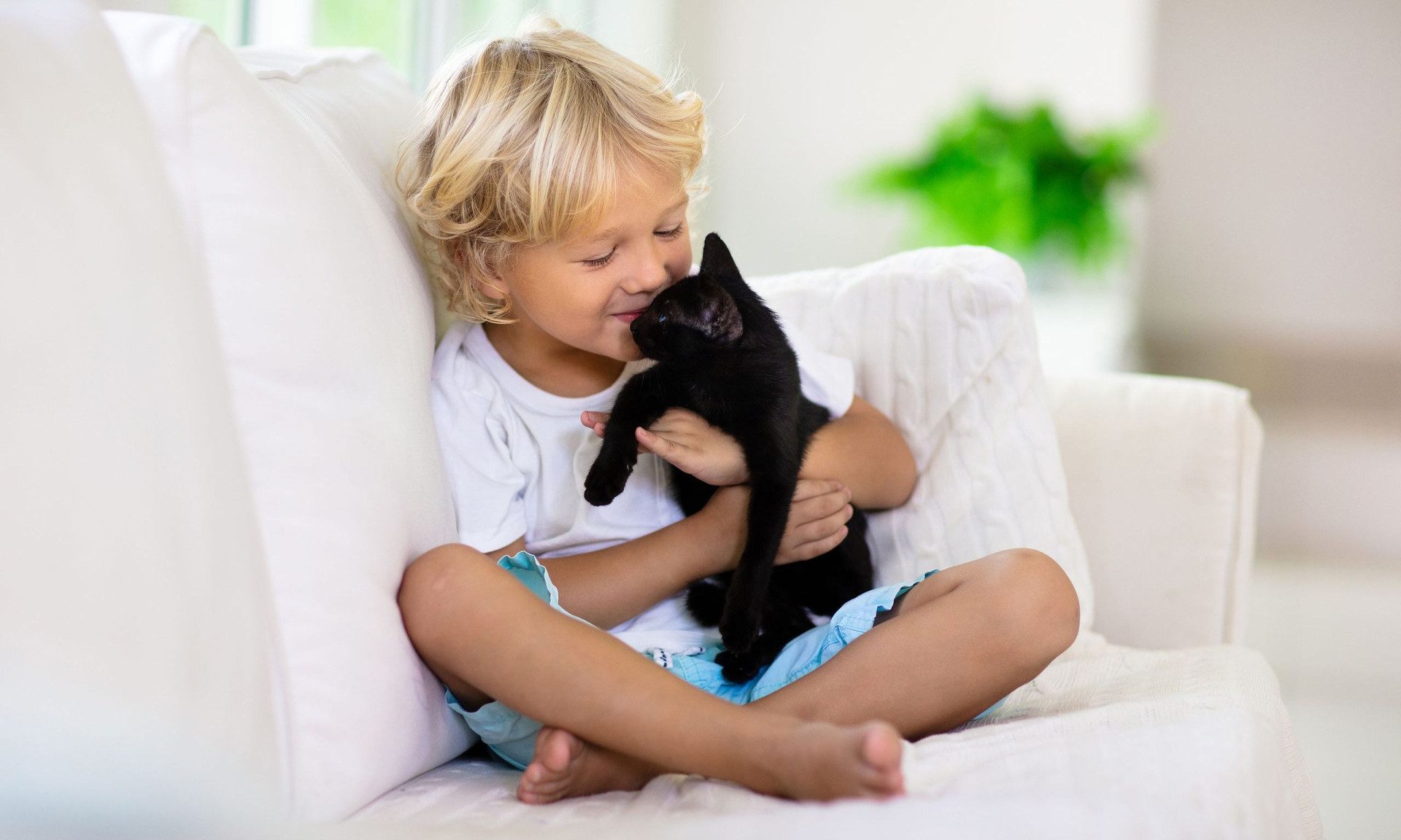 Τρυφερό βίντεο: Κι όμως τα παιδιά και οι γάτες έχουν πολλές ομοιότητες ...