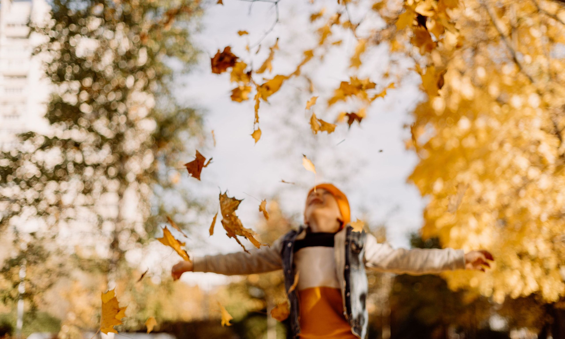 Ζωγραφίζοντας το φθινόπωρο - Κατεβάστε δωρεάν χρωμοσελίδες - Mothersblog.gr